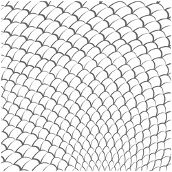 Snake scales background Royalty Free Vector Image