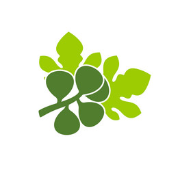 Figs fruit logo round linear logo fig slice Vector Image