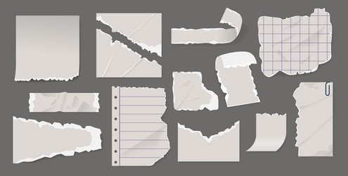 Torn white paper scraps featuring ripped blank Vector Image