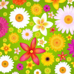 Spring poster with flowers Royalty Free Vector Image