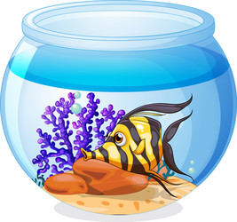 Aquarium algae fish icon cartoon style Royalty Free Vector