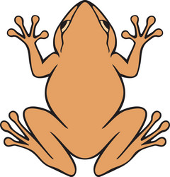 Puerto rico rana frog with flag - common coqui Vector Image