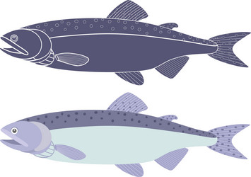 Salmon Vector Images (over 60,000)