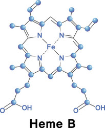 Heme Vector Images (50)