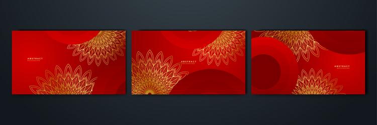 Luxury gold and red pattern decoration design for Vector Image