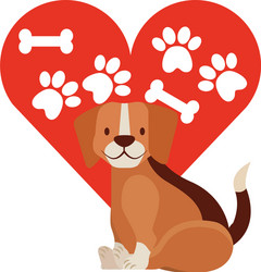 Veterinary clinic petcare Royalty Free Vector Image