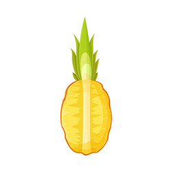 Ananas Vector Images (over 5,600)