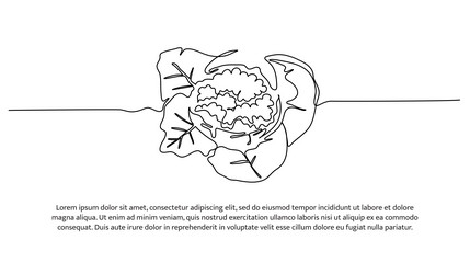 Continuous Line Vector Images (over 150,000)