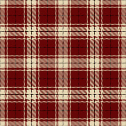 Check pattern Royalty Free Vector Image - VectorStock