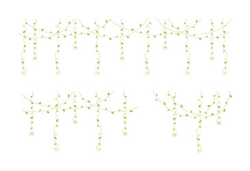 Green vines frames and borders hanging vine Vector Image