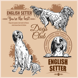 English Setter Vector Images (over 120)