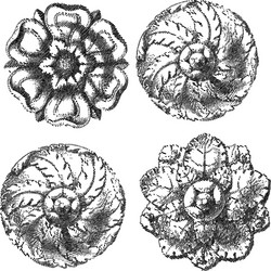 Engraved Circle Vector Images (over 7,800)