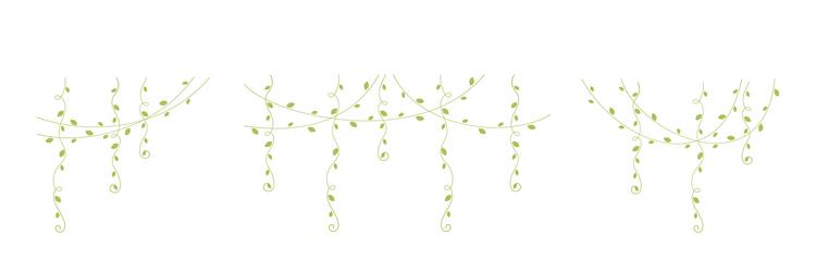 Floral Vine Corner Border Vector Images (over 3,700)
