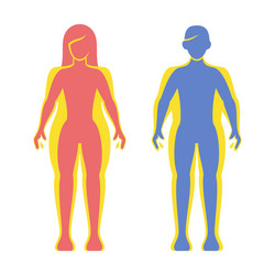 Thin normal fat overweight man and woman body Vector Image