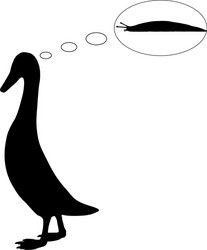 Indian runner ducks Royalty Free Vector Image - VectorStock