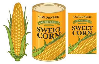 Banner with a tin can and label for sweet corn Vector Image