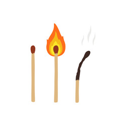 Matches lighted match and burned isolated Vector Image