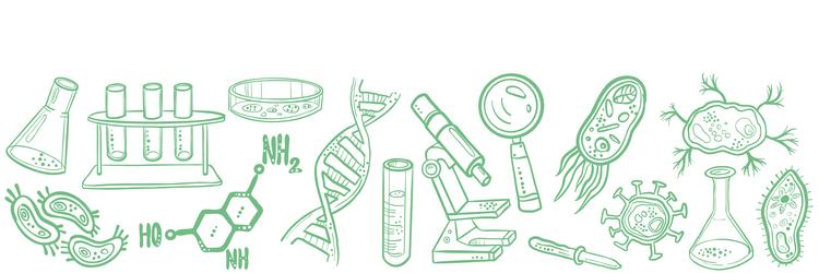 Biology title sketch doodle background Royalty Free Vector