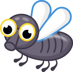 Diptera Vector Images (over 120)