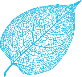 Manually drawn leaf skeleton Royalty Free Vector Image