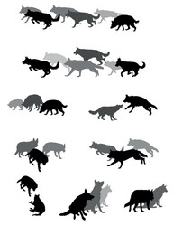 Police dog k9 unit infographic Royalty Free Vector Image