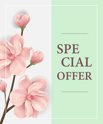 Special offer poster design with pink blooming Vector Image