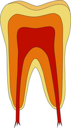 Tooth Vector Images (over 130,000)