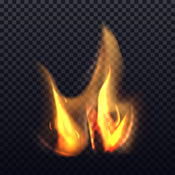 Fire effect bright flaming icon or clipart Vector Image