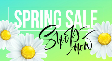 Spring fashion banner with handwritten calligraphy