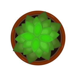 Flower Vase Top View Vector Images (over 110)