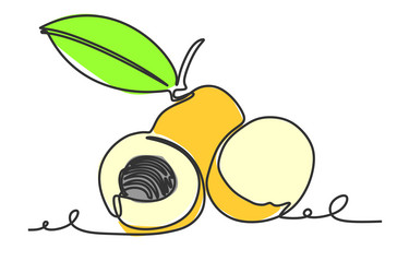 Simple flat color one line drawing of mangosteen Vector Image