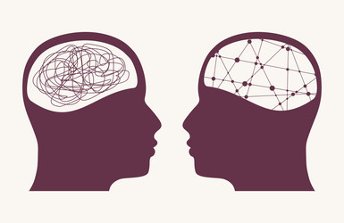 Metaphor bipolar disorder mind mental split Vector Image