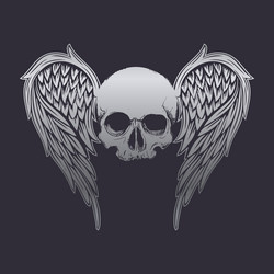 Skull and wings design Royalty Free Vector Image