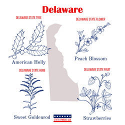Delaware set of usa official state symbols Vector Image