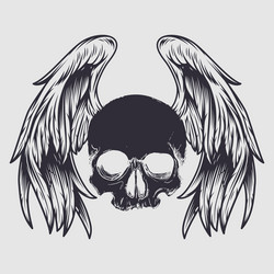 Skull and wings design Royalty Free Vector Image