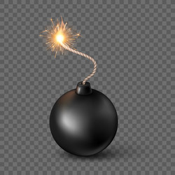 Realistic bomb burning fuse black Royalty Free Vector Image