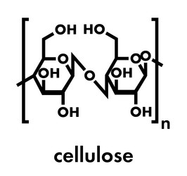 Cellulose Vector Images (over 1,100)