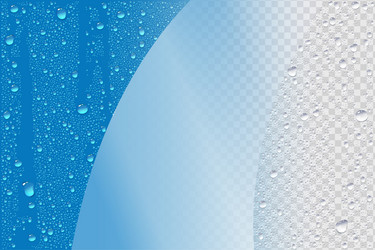 Wet Vector Images (over 170,000)