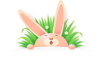 Crazy rabbit cartoon freak out Royalty Free Vector Image