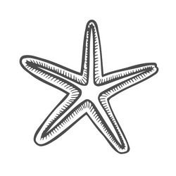 One continuous line drawing cute starfish Vector Image