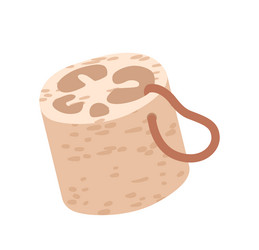 Sponge Gourd Vector Images (46)