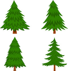 Pine cartoon tree Royalty Free Vector Image - VectorStock