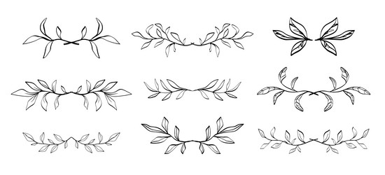 Floral dividers set hand drawn leaf borders decor Vector Image