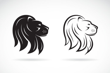 Lions Mane Vector Images (over 6,800)