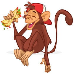 Cartoon funny monkey chimpanzee holding falafel Vector Image