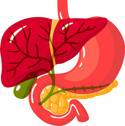 Biliary Tract Vector Images (94)