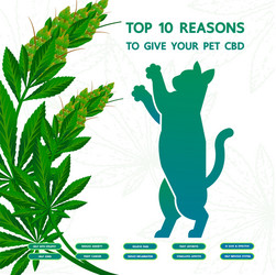 Rabbit Cannabis Vector Images (29)