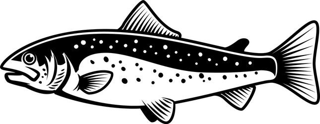 Trout Vector Images (over 10,000)