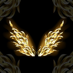 A pair of gradient gold wings Royalty Free Vector Image