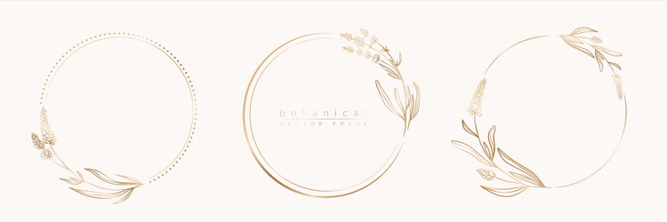 Botanical golden circle frame set hand drawn Vector Image